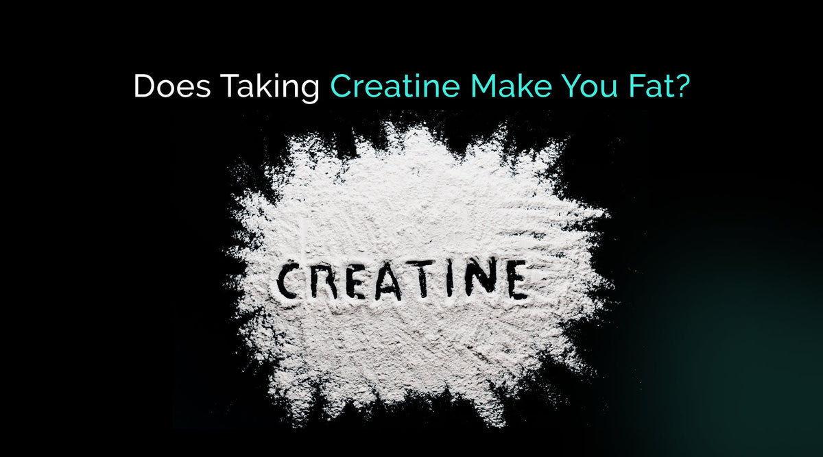 Does Taking Creatine Make You Gain Fat? — Wellversed