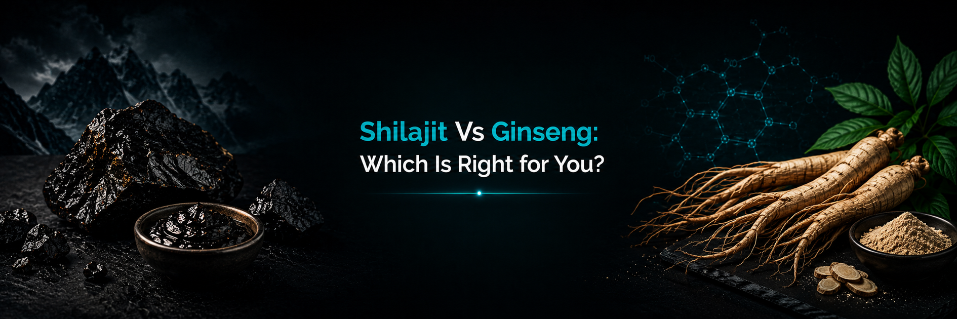 Shilajit Vs Ginseng: Which Is Right for You? — Wellversed